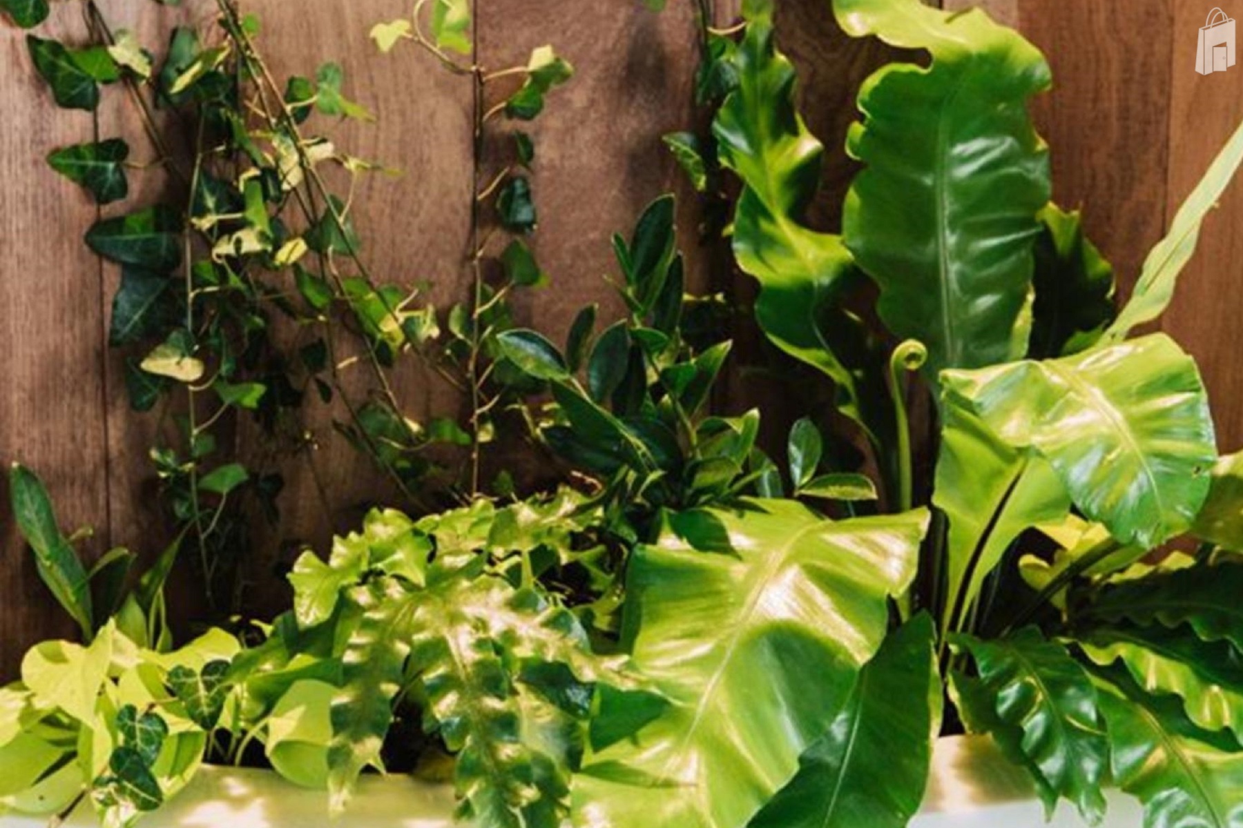 Unique Event Space With Living Walls In New York Rent This Pop Up Unique Event Space With Living Walls In New York Rent This Pop Up